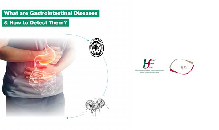 HPSC Information on Gastroenteric Infectious Diseases - Enfer Medical